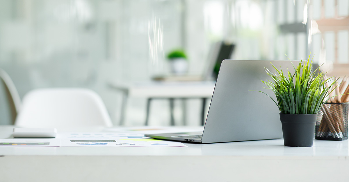 website design services | 42 milligrams